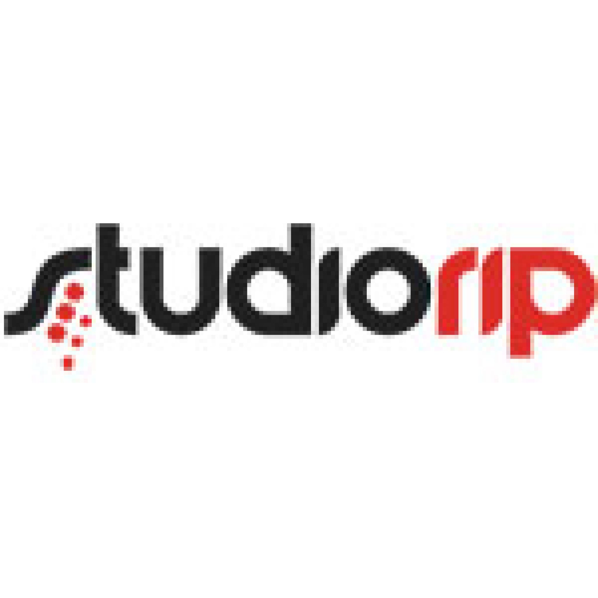 STUDIORIP SRL - DIVERSE - Afaceri Poligrafice
